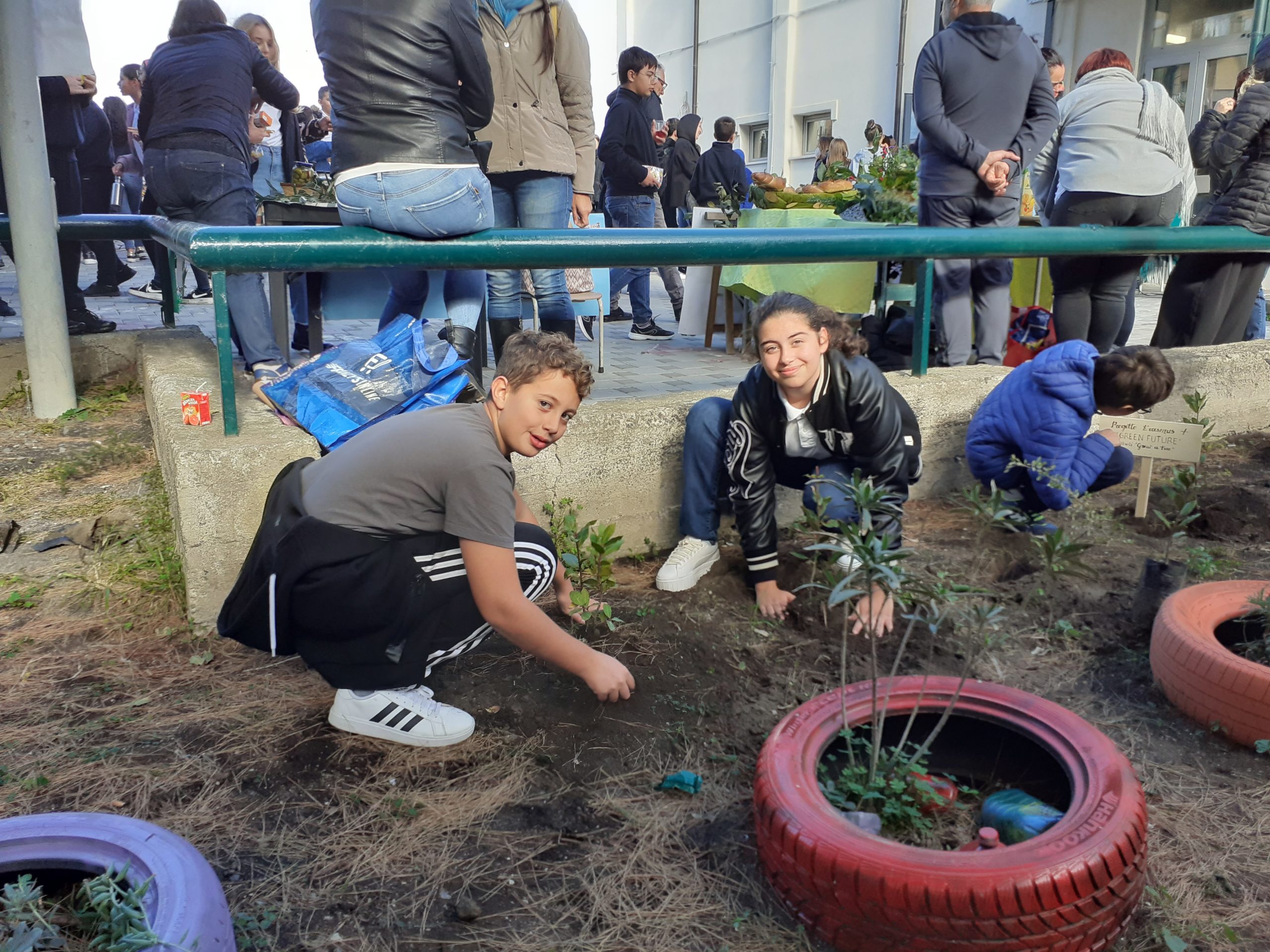 Catania, alberi per le scuole dai Lions - Distretto Lions 108 Yb Sicilia